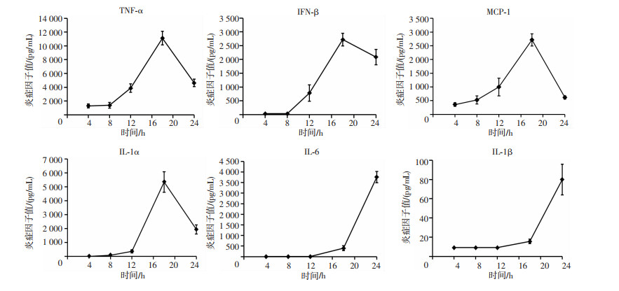 泰国伯克霍尔德菌感染RAW264.7细胞模型的建立及感染机制的初步探讨